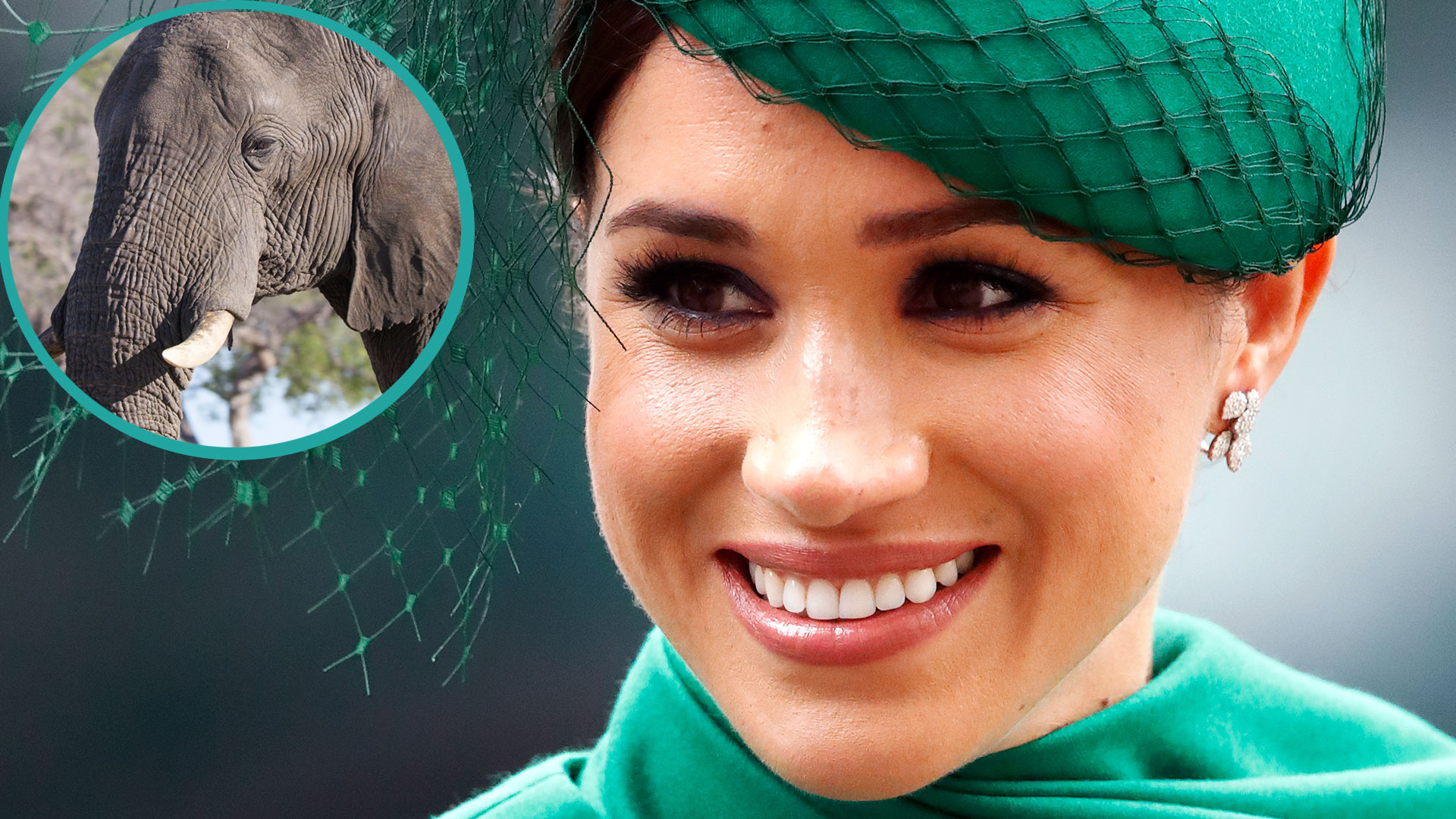 Meghan Markle's Disney Voiceover Is Here: Hear Her Powerful Narration ...